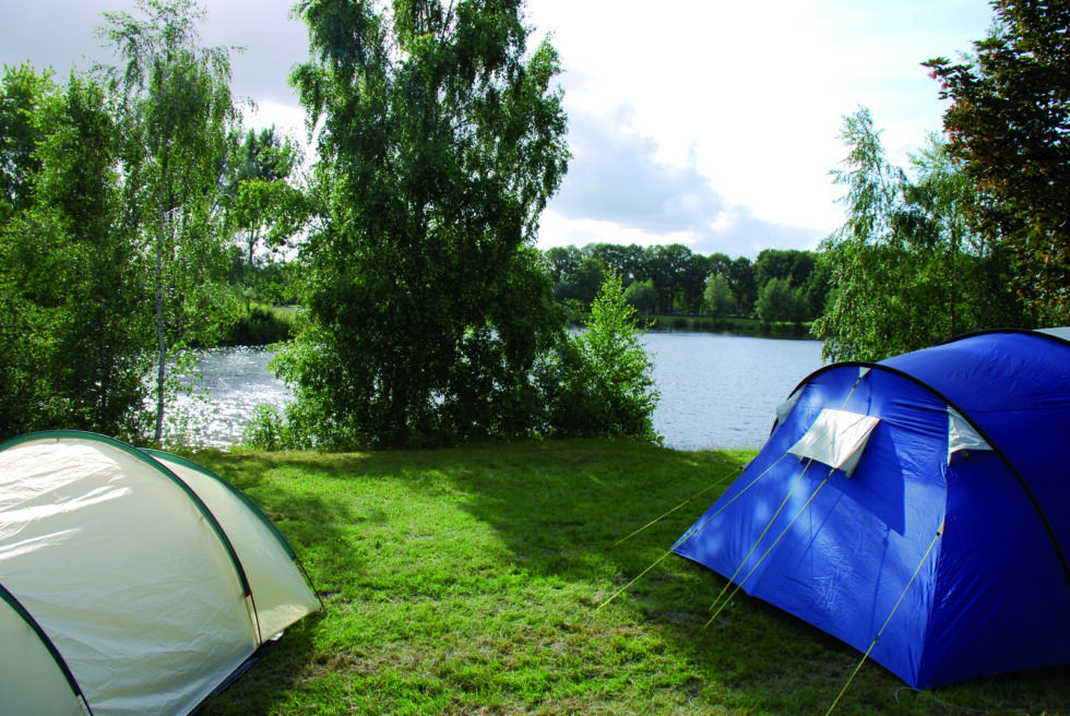 Was ist das Camp-Control System? | Cynox GmbH